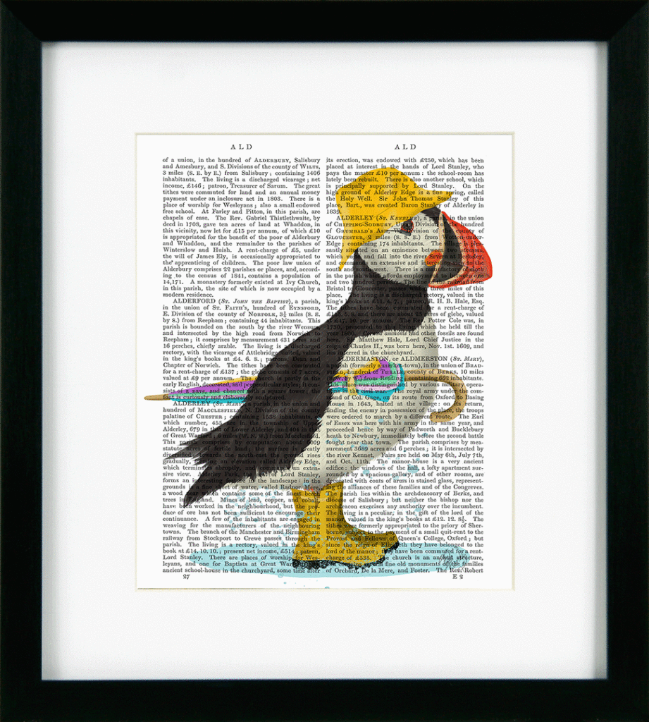 Puffin Portraits II By Fab Funky *NEW* – The Artists Quarter