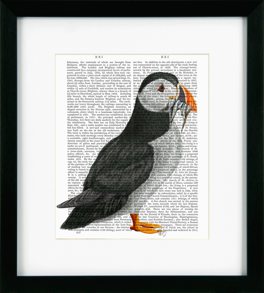 Puffin Portraits IV By Fab Funky *NEW* – The Artists Quarter