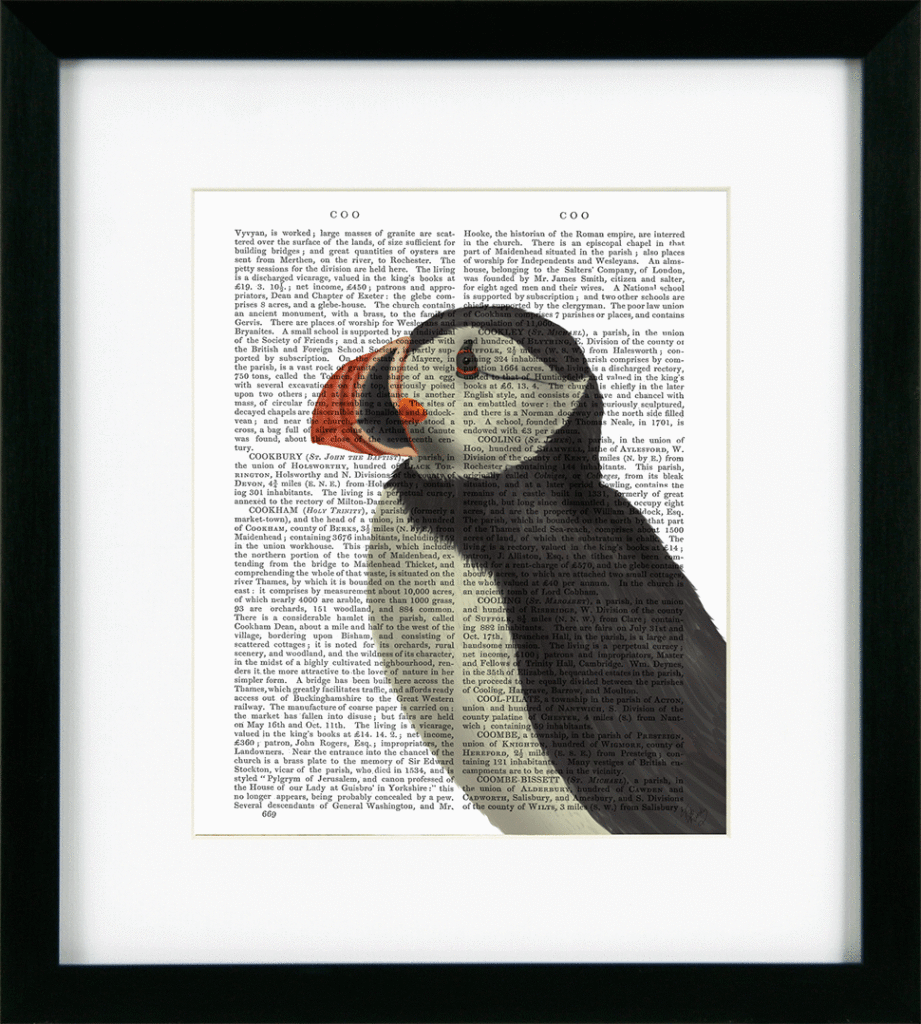 Puffin Portraits VI By Fab Funky *NEW* – The Artists Quarter