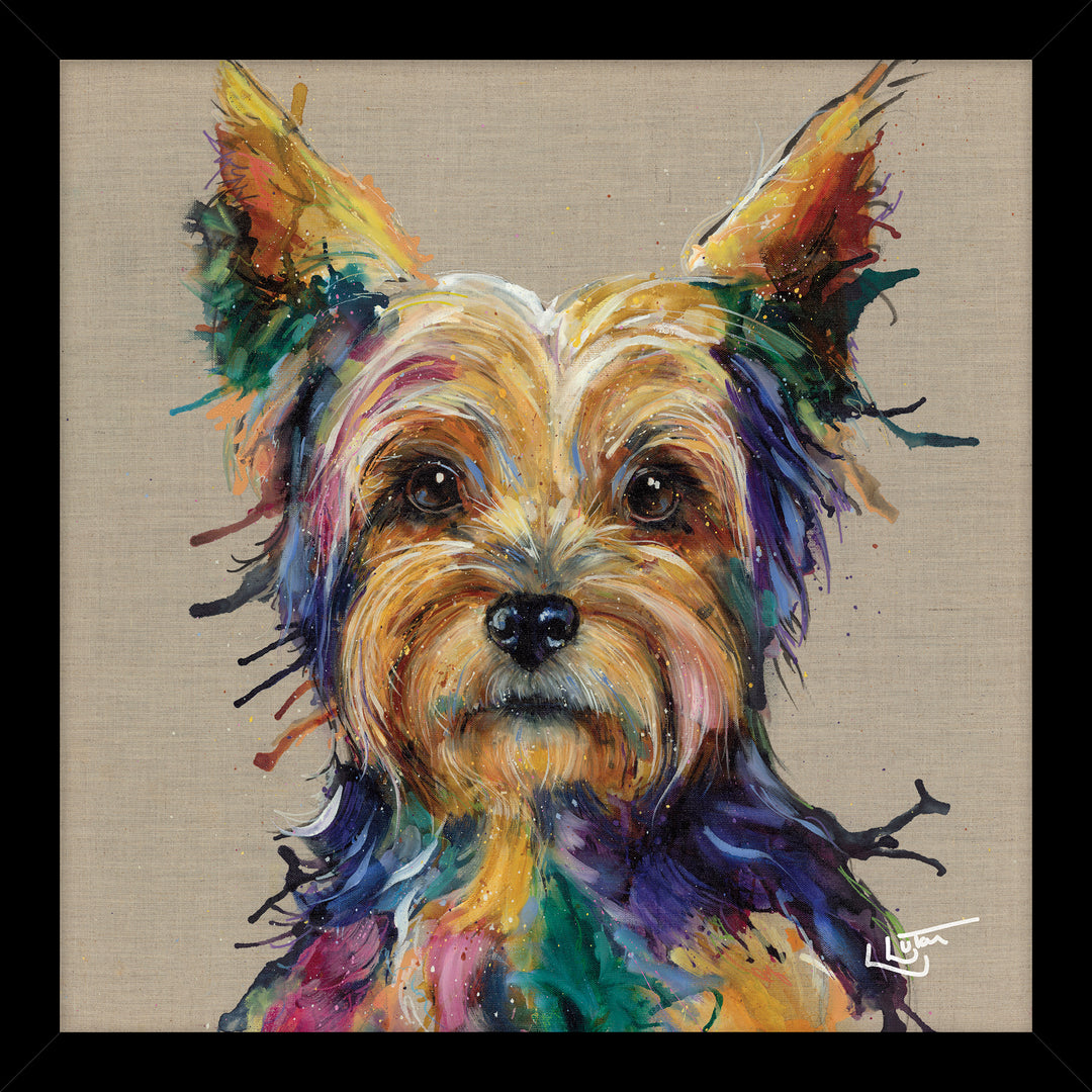 Yorkie By Louise Luton – The Artists Quarter