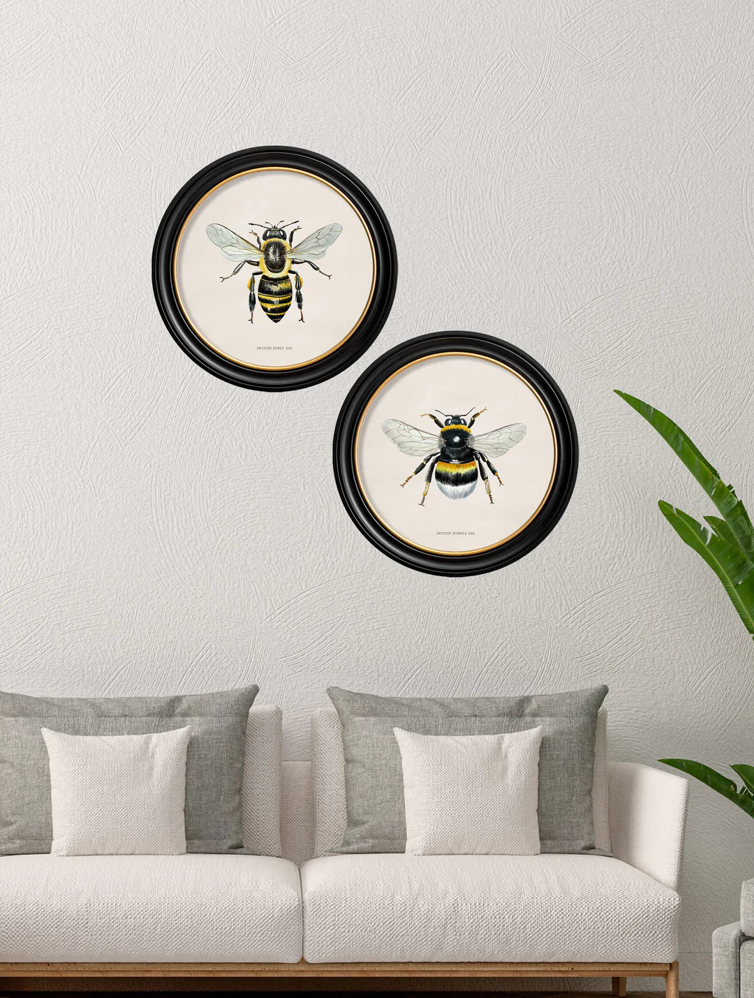 C1892 British Bees Round Frame – The Artists Quarter