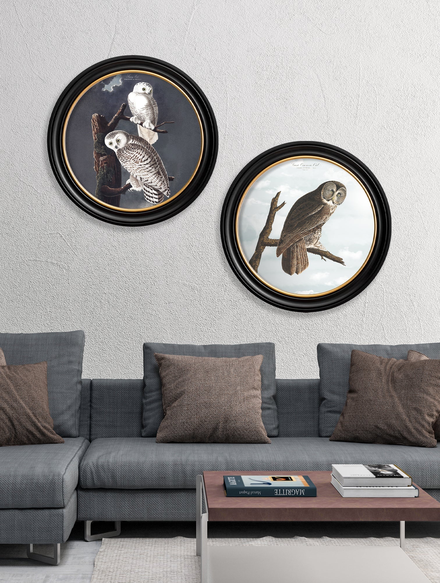 c.1838 Audubon's Owls - Round Frame – The Artists Quarter