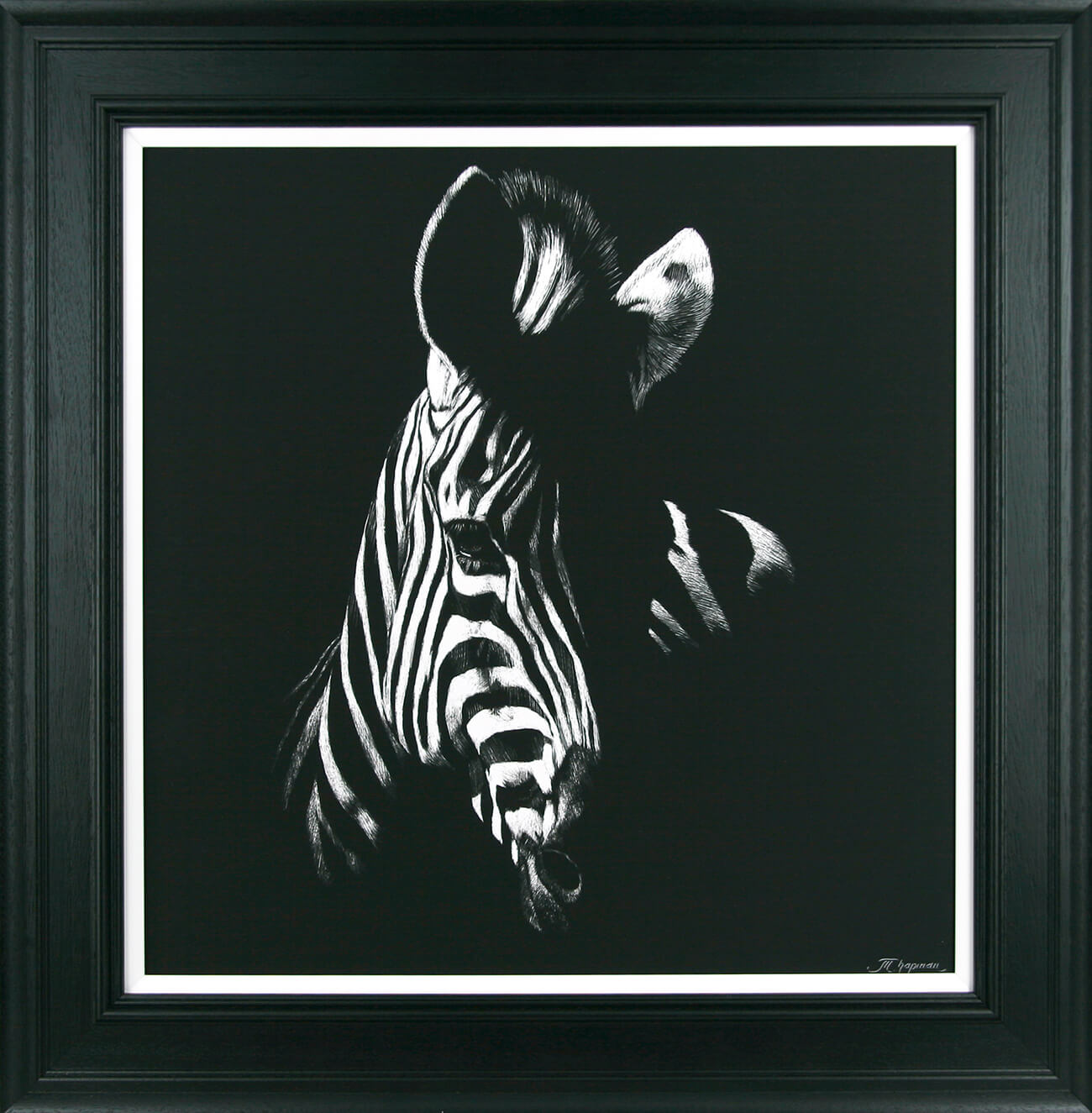 Zebra Stare By Julie Chapman – The Artists Quarter